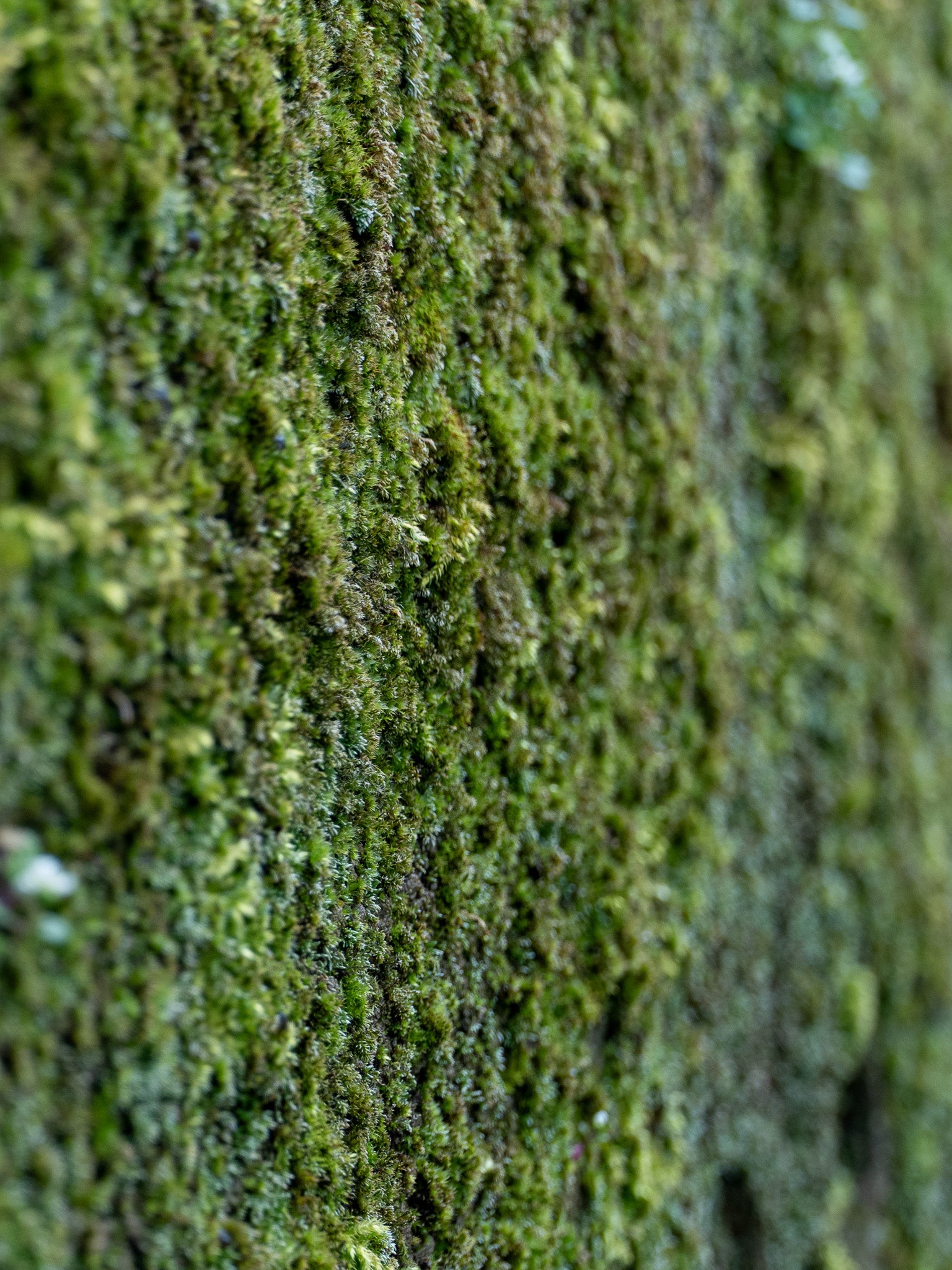 Respyre: Revolutionary Green Facades