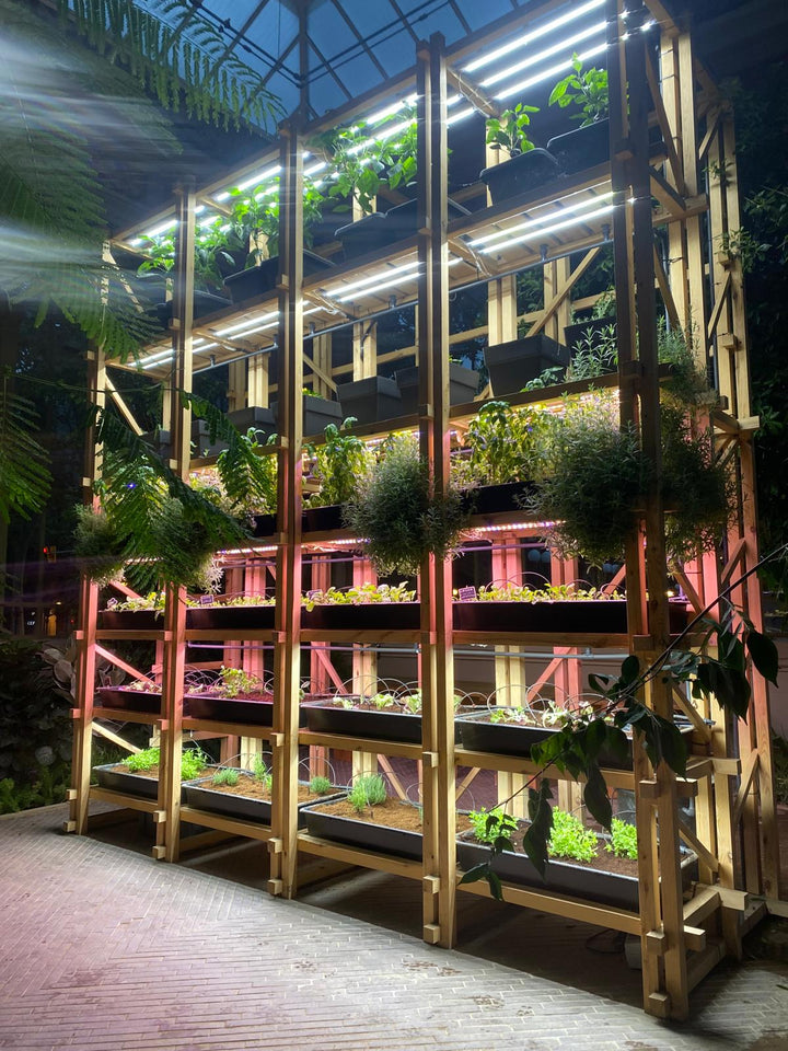 NOHO Lightly chair wins Dezeen awards 'Furniture design of the year 20